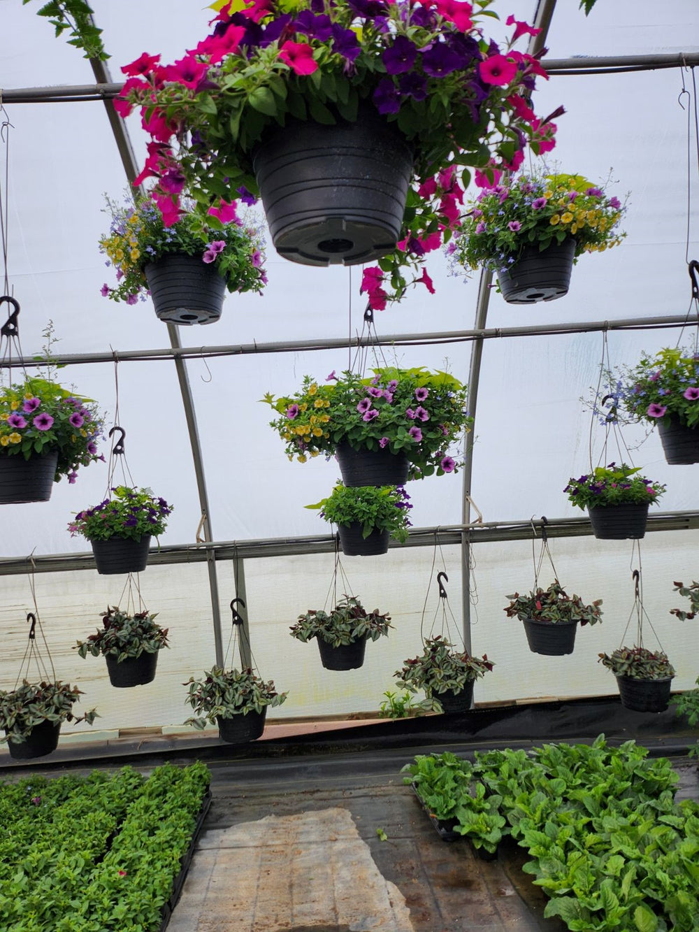 PEX Planters – PEXPlanters