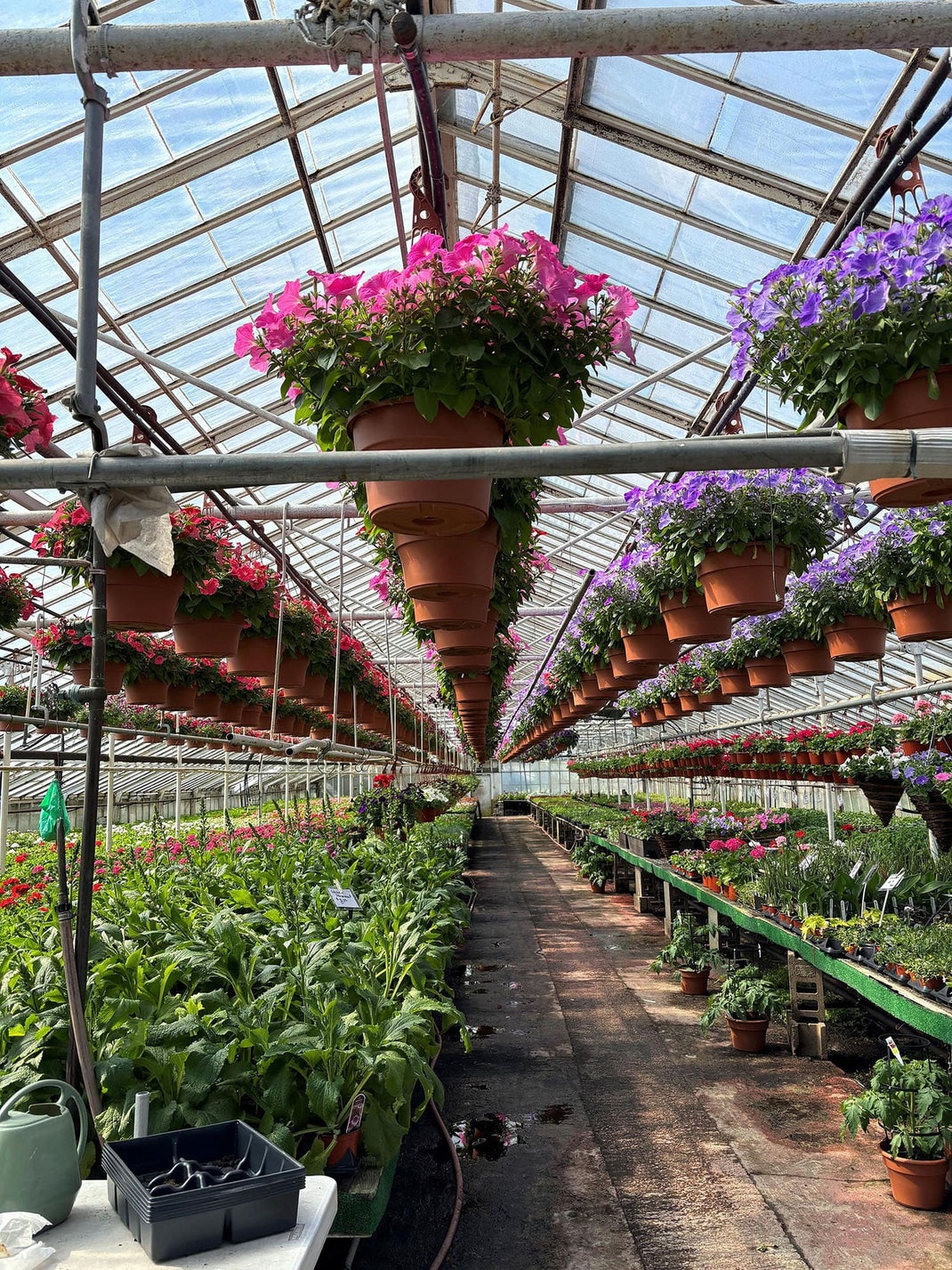 PEX Planters – PEXPlanters